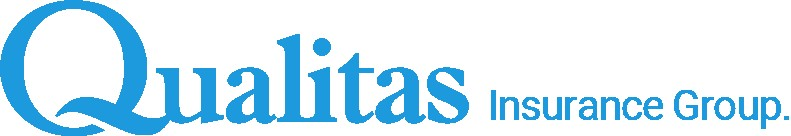 Qualitas Insurance Group | Uncompromising Excellence: Setting the ...